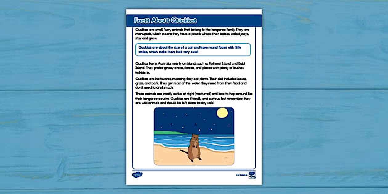 Facts About Quokkas (l'enseignant a fait) - Twinkl