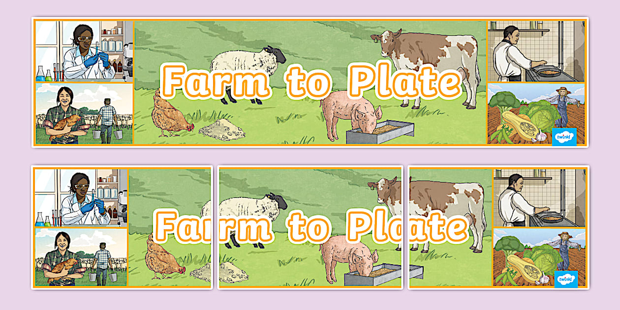 STEM IU Yr 3 Farm to Plate Display Banner