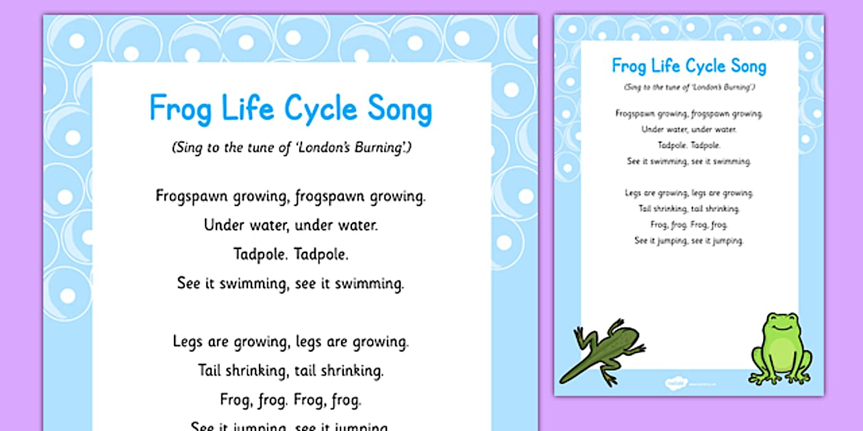 Lifecycle Of A Frog - Frog Song Preschool - Twinkl