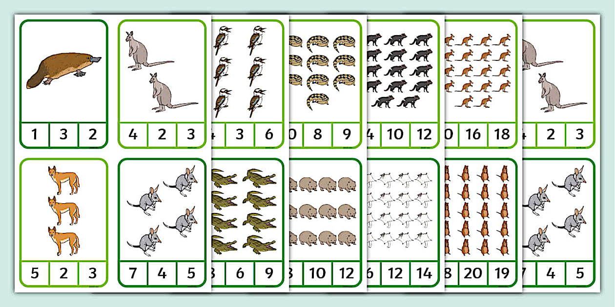 Printable Counting Cards | Australian Animals | Twinkl Maths