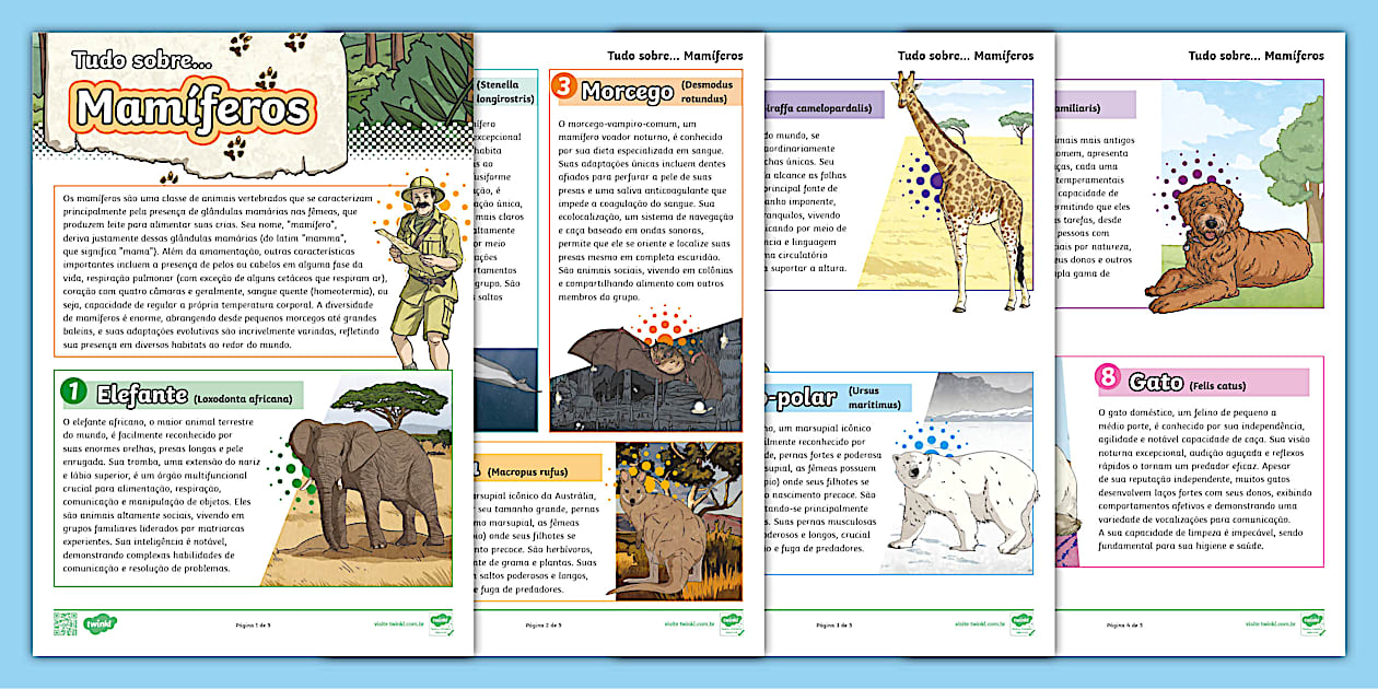 Tudo sobre mamíferos - Descubra agora! - Twinkl
