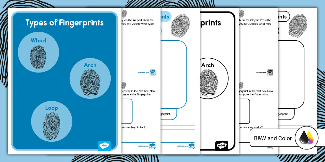 First Grade All About Fingerprints Activity (Teacher-Made)