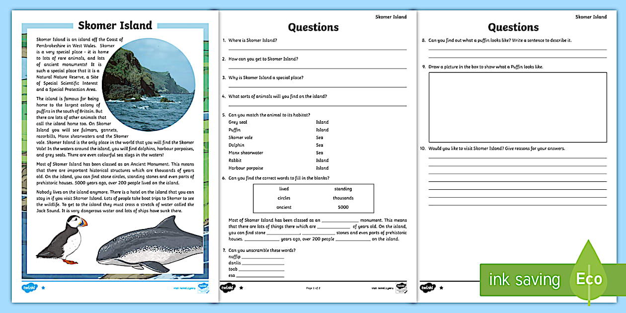 Lower Ability Skomer Island Differentiated Reading Comprehension Activity