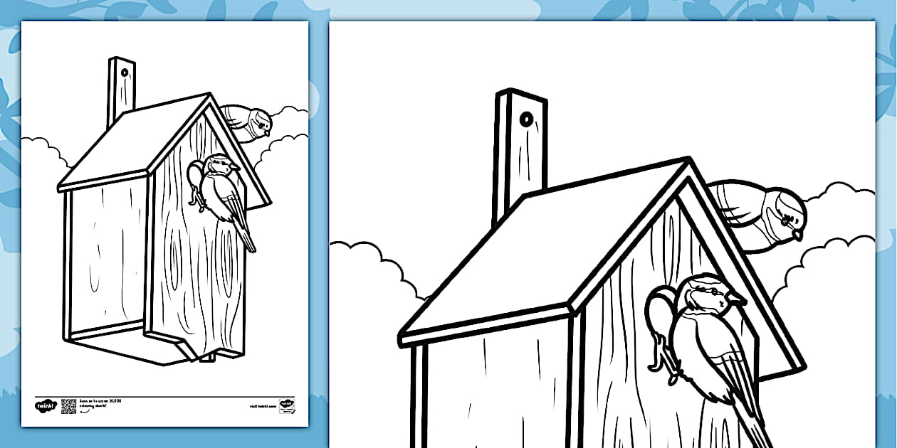 Bird on Birdhouse Colouring Sheet (teacher made) - Twinkl