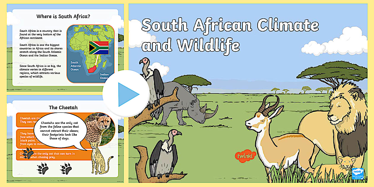 Climate in South Africa for Kids PowerPoint (teacher made)