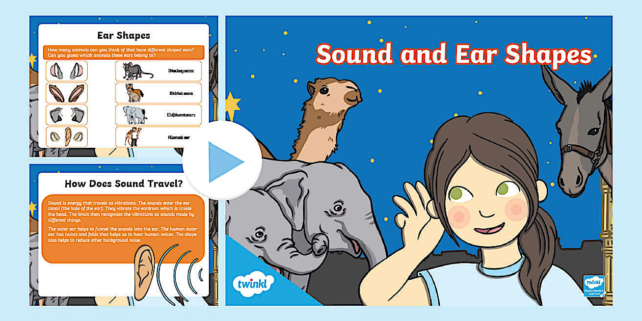 Sound and Ear Shapes PowerPoint (teacher made) - Twinkl