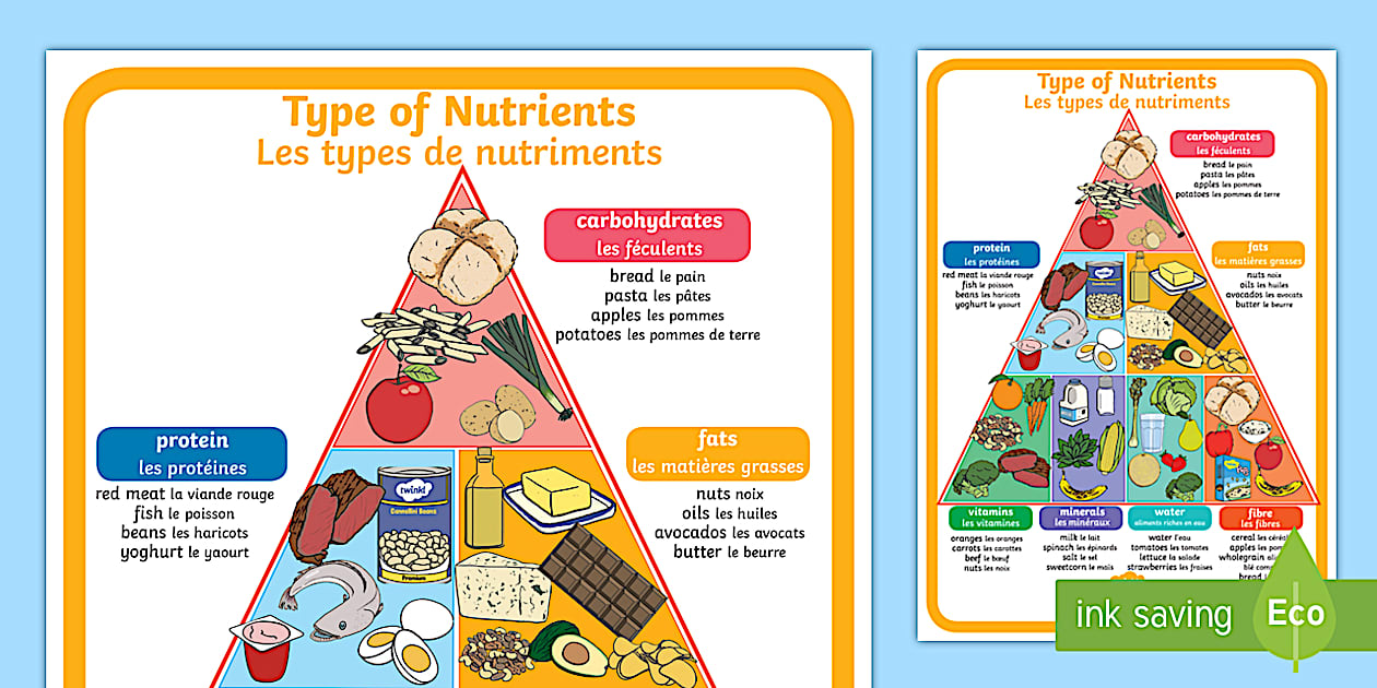 Types of Nutrients Display Poster English/French - Types of Nutrients ...