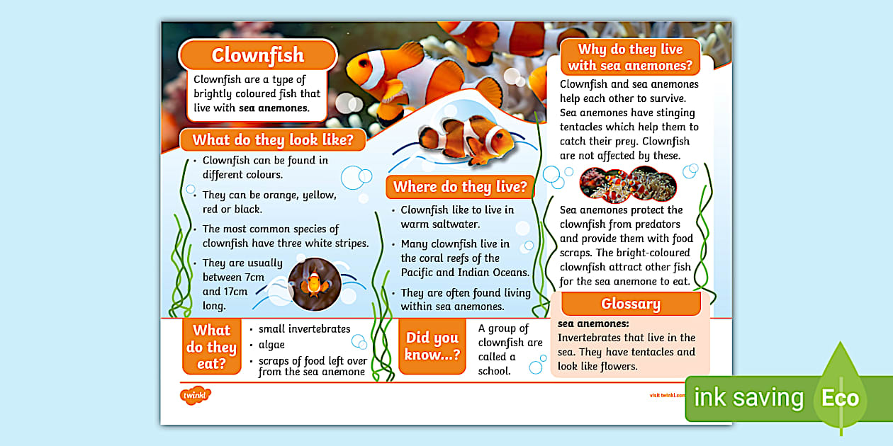 KS1 Clownfish Fact File - Under the Sea (teacher made)