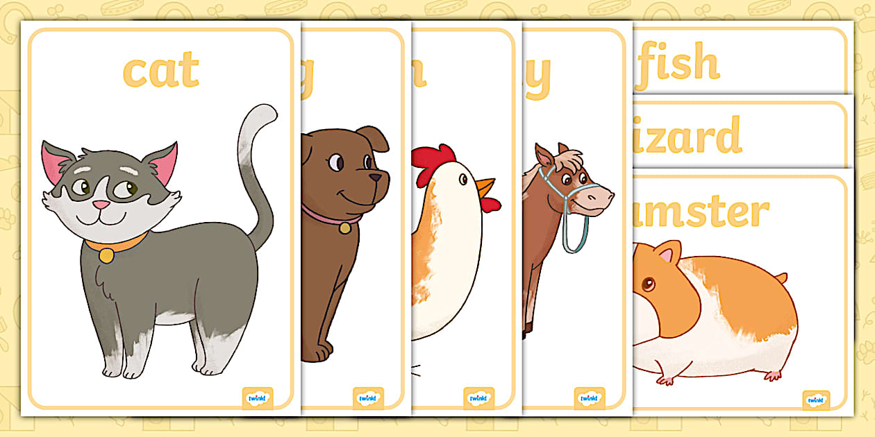 Pet Animals Display Posters (teacher made) - Twinkl