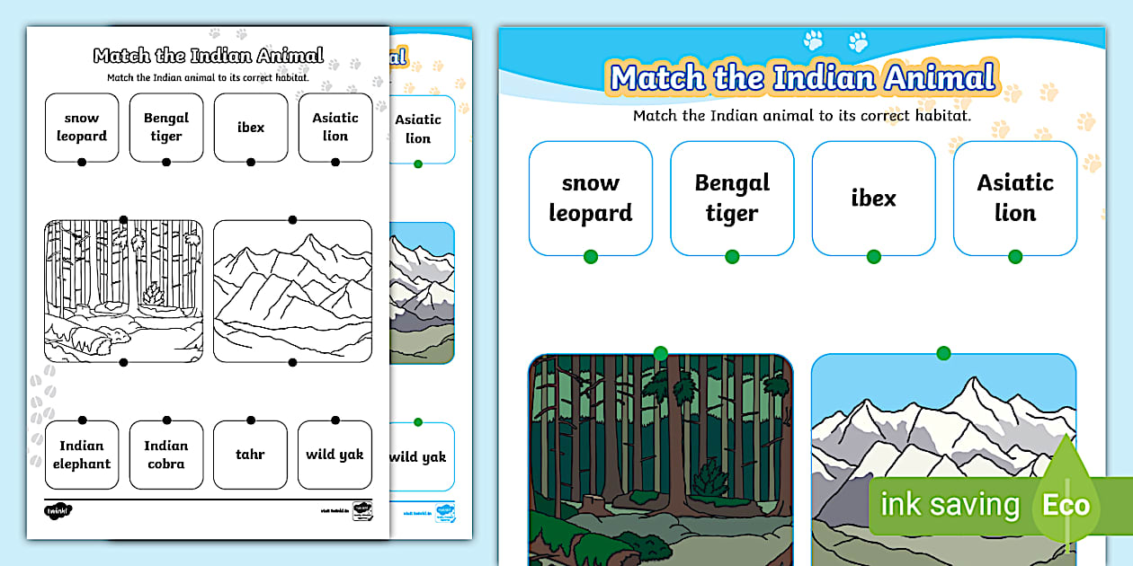 Indian Animal Habitats Matching Worksheet (teacher made)