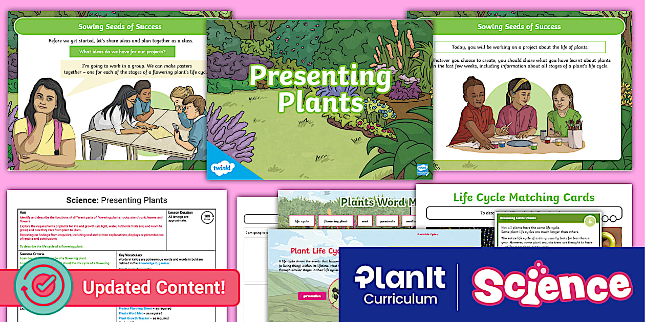 Y3 Plants: Presenting Plants Lesson 6 (Teacher-Made)