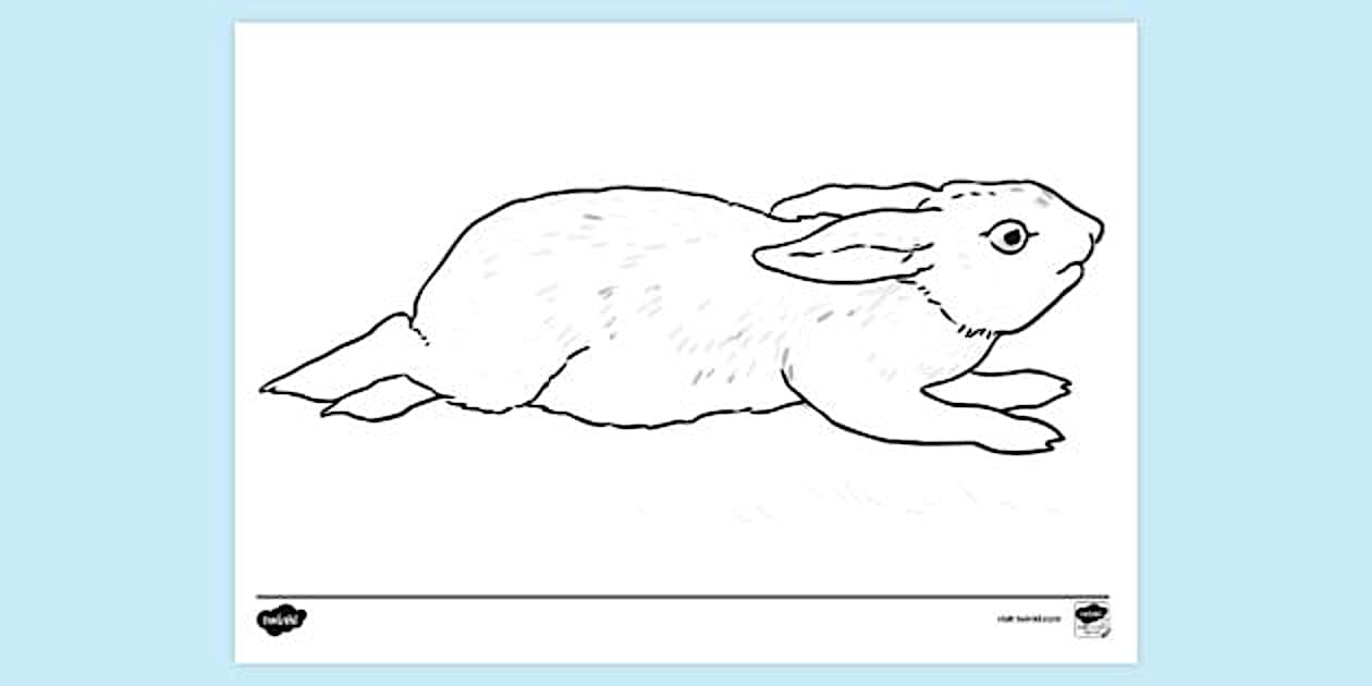 Bad Rabbit with No Tail or Whiskers Colouring Sheet | Twinkl