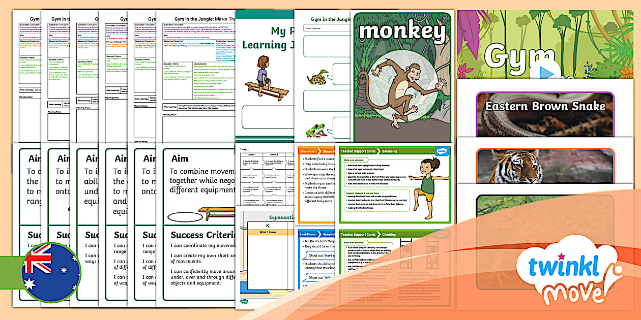 Move PE Foundation Gymnastics in the Jungle Unit Pack