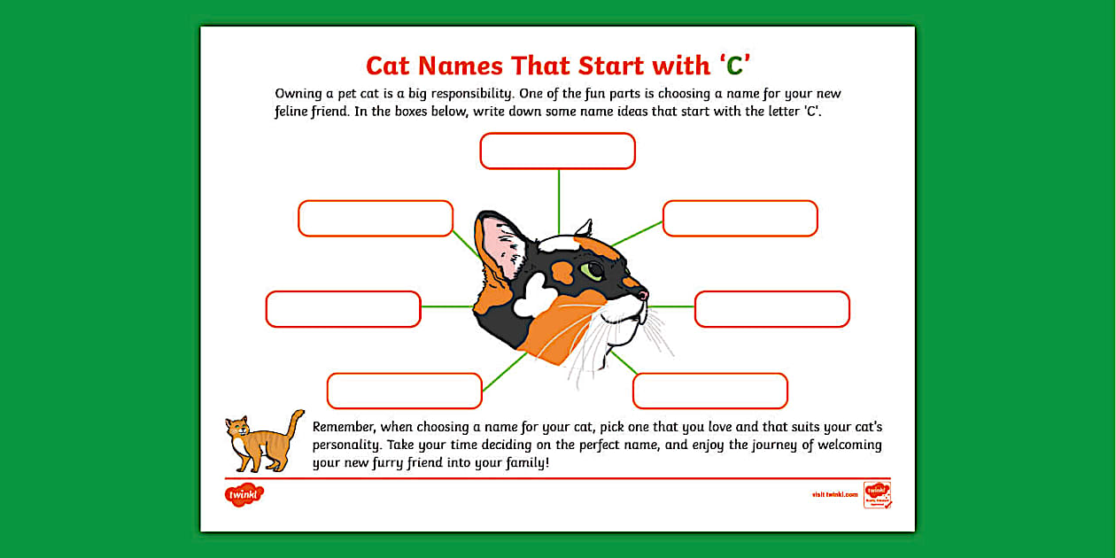 Cat Names That Start with 'C' Activity