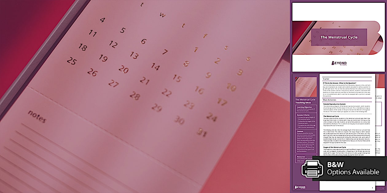 KS3 Reproduction Lesson 3: The Menstrual Cycle | Beyond