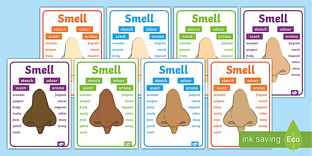 Smell Vocabulary Display Poster (teacher made) - Twinkl