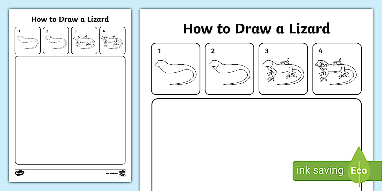 How to Draw a Lizard (teacher made) - Twinkl