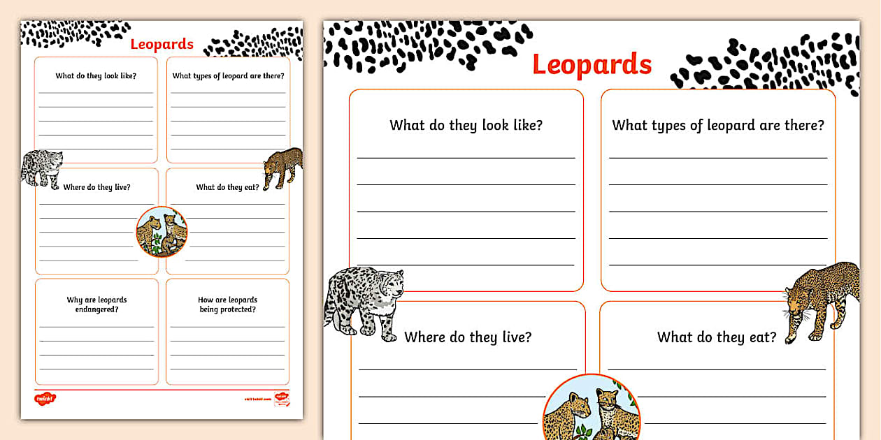 Leopards Fact File Template (Teacher-Made) - Twinkl