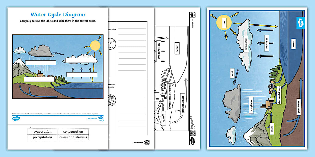 Diagram of the Water Cycle Activity Pack (teacher made)