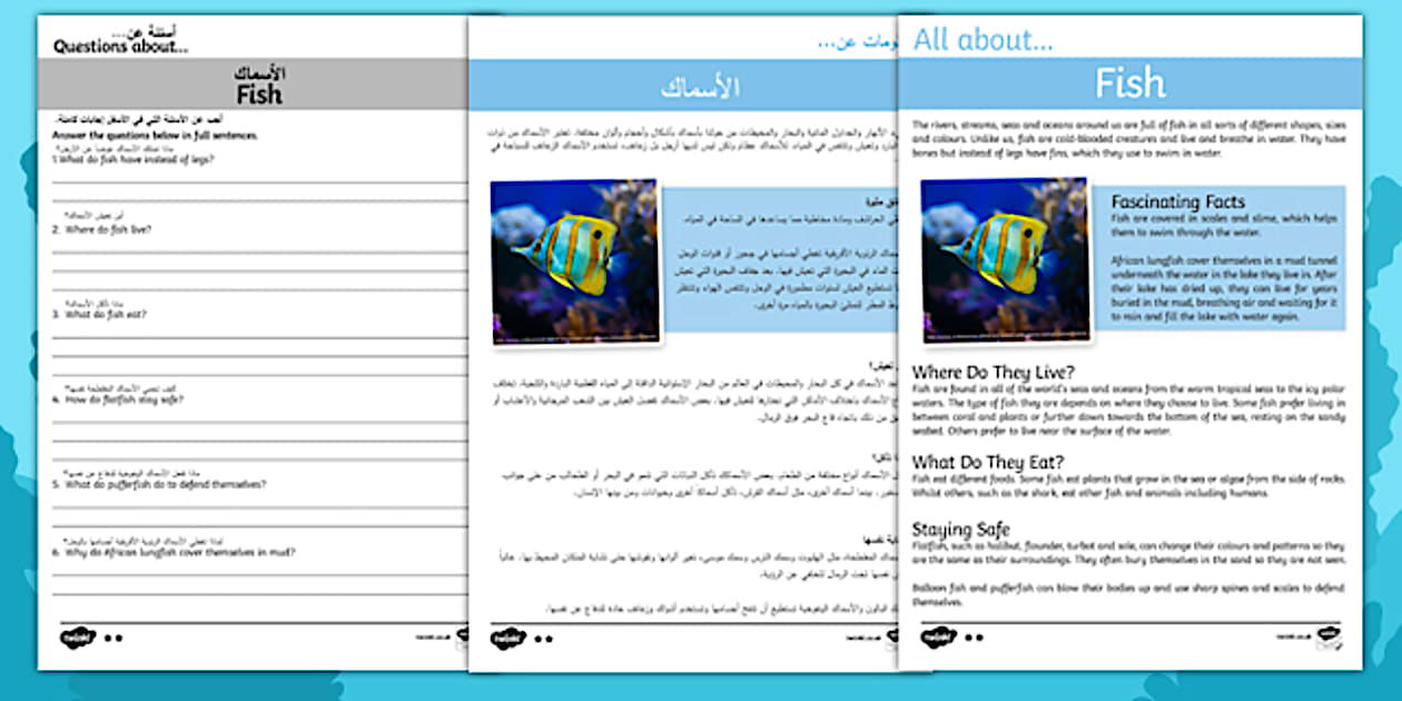 Fish Comprehension English/Arabic- نشاط فهم مقروء عن السمك