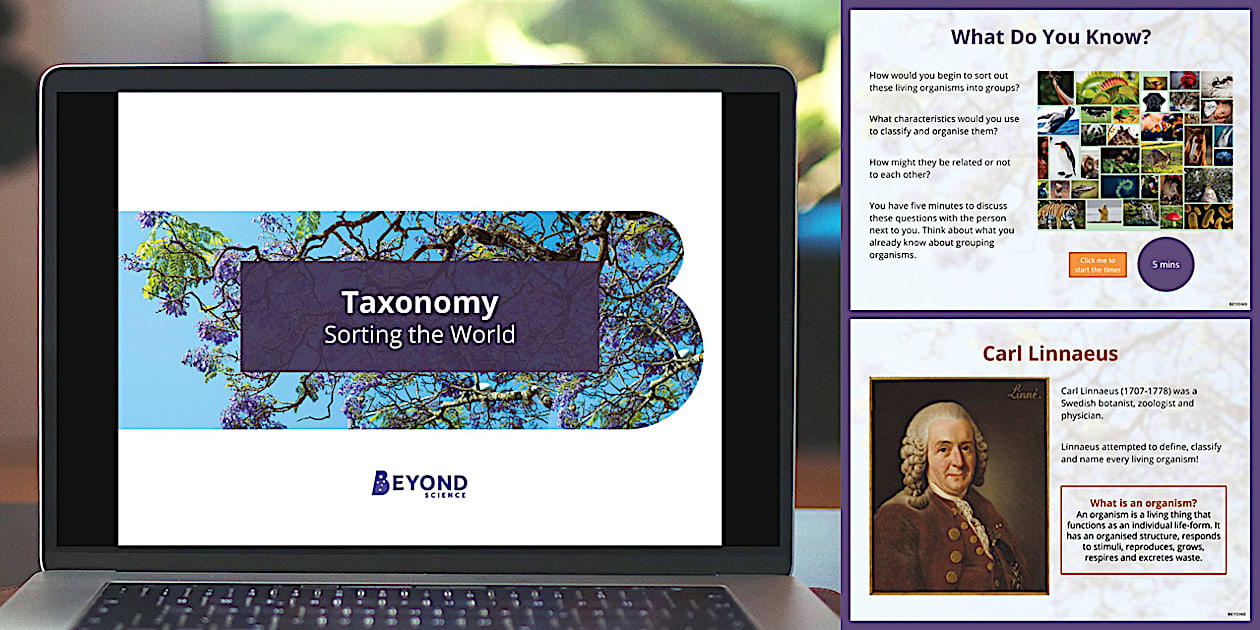 Taxonomy Explained (teacher made) - Twinkl