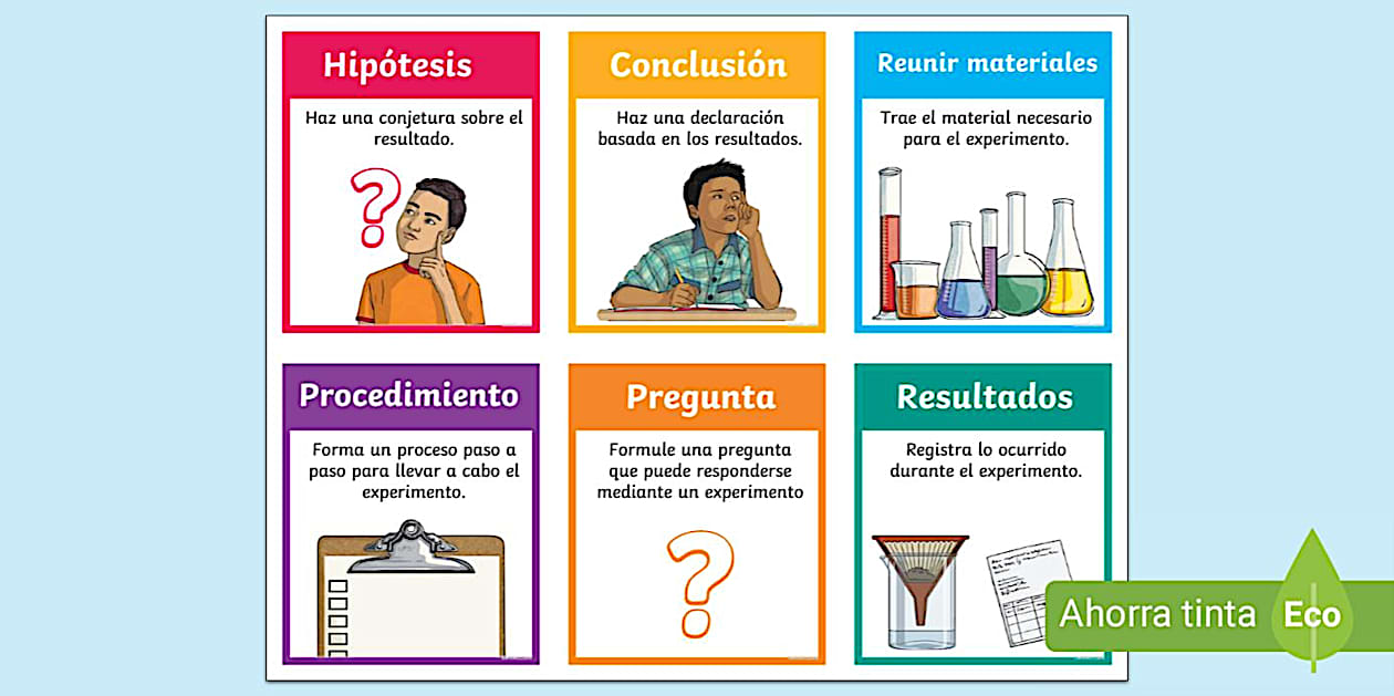Tarjetas: Pasos del método científico | Twinkl Perú