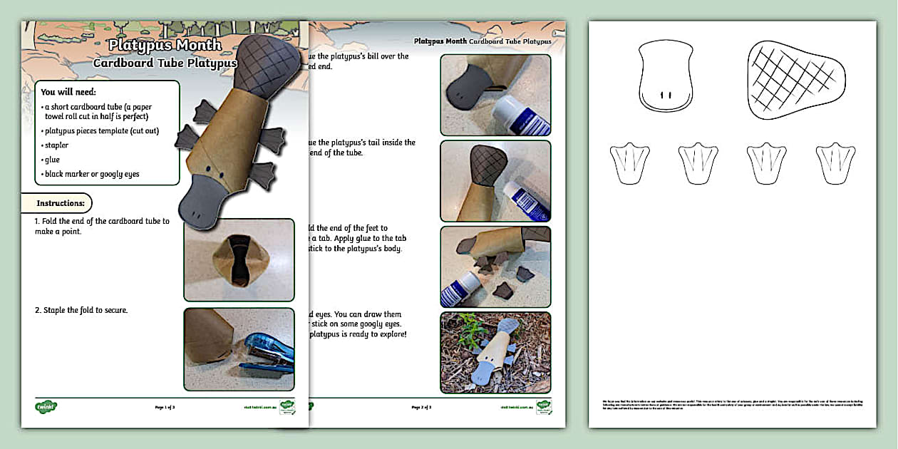 Cardboard Tube Platypus Craft (teacher made) - Twinkl