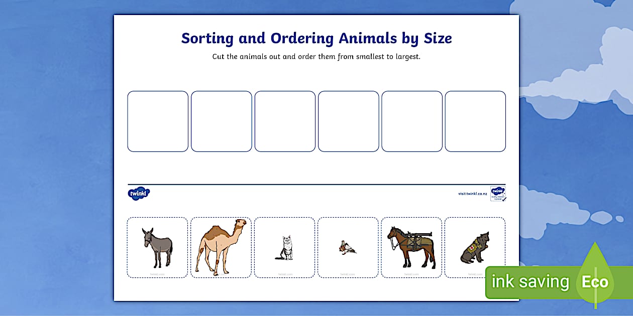 Sorting and Ordering Animals by Size (teacher made) - Twinkl