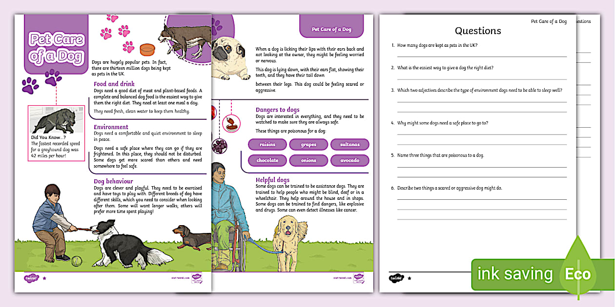 Lower Ability KS2 Pet Care of a Dog Differentiated Reading Comprehension