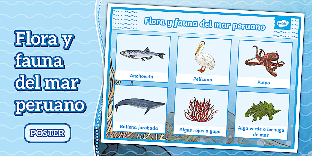 Lámina: Flora y fauna del mar peruano | Twinkl Perú