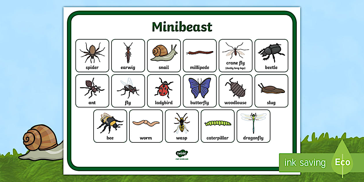 Cursive Minibeast Word Grid (professor feito) - Twinkl