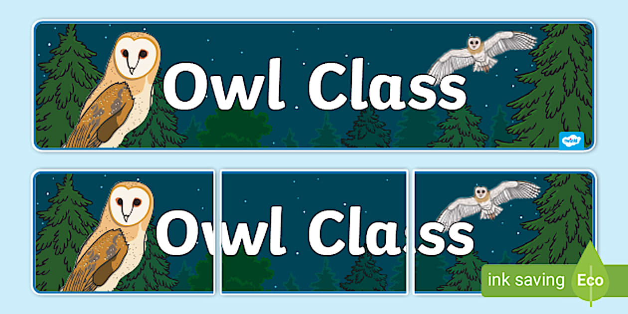 Owl Themed Classroom Display Banner - Twinkl