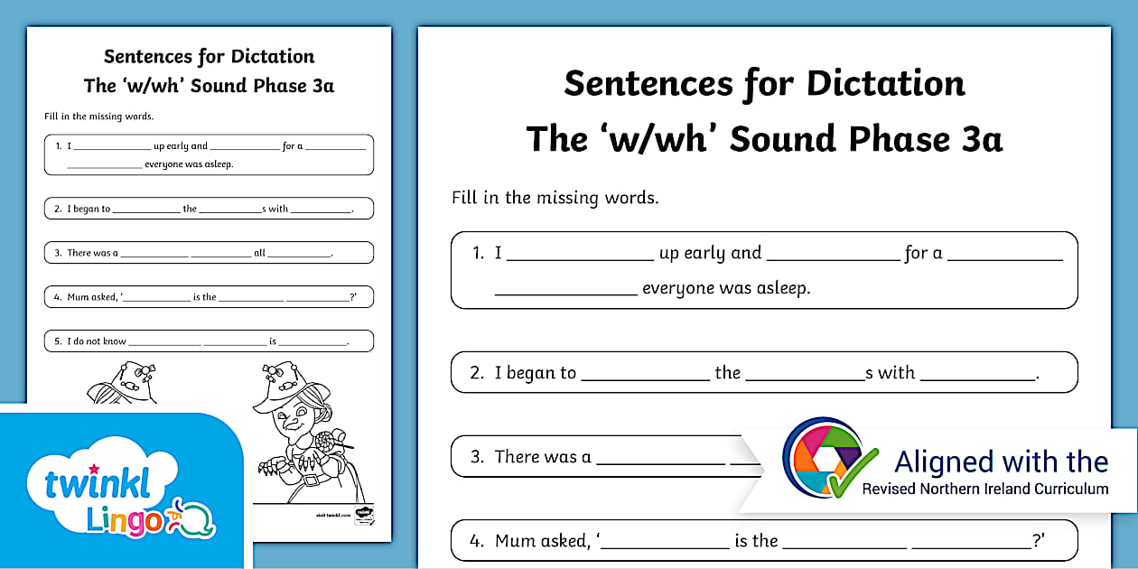 NI Linguistic Phonics 3a 'w/wh' Sound Dictation Sentences