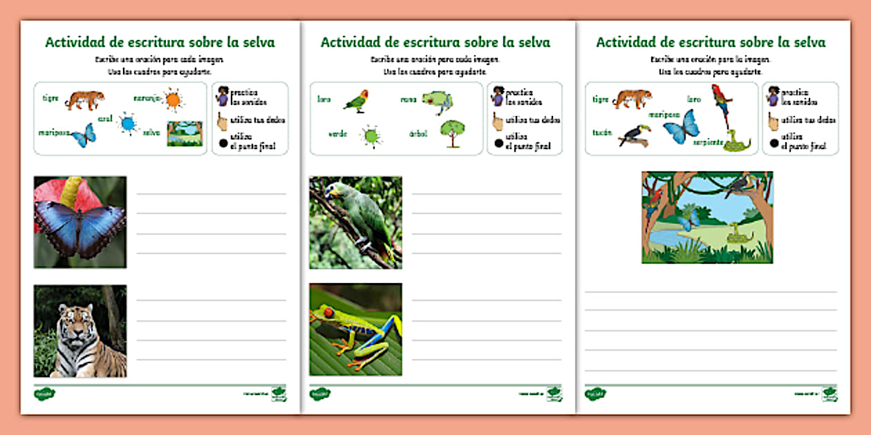 Escritura sobre la selva y los bosques tropicales - Twinkl
