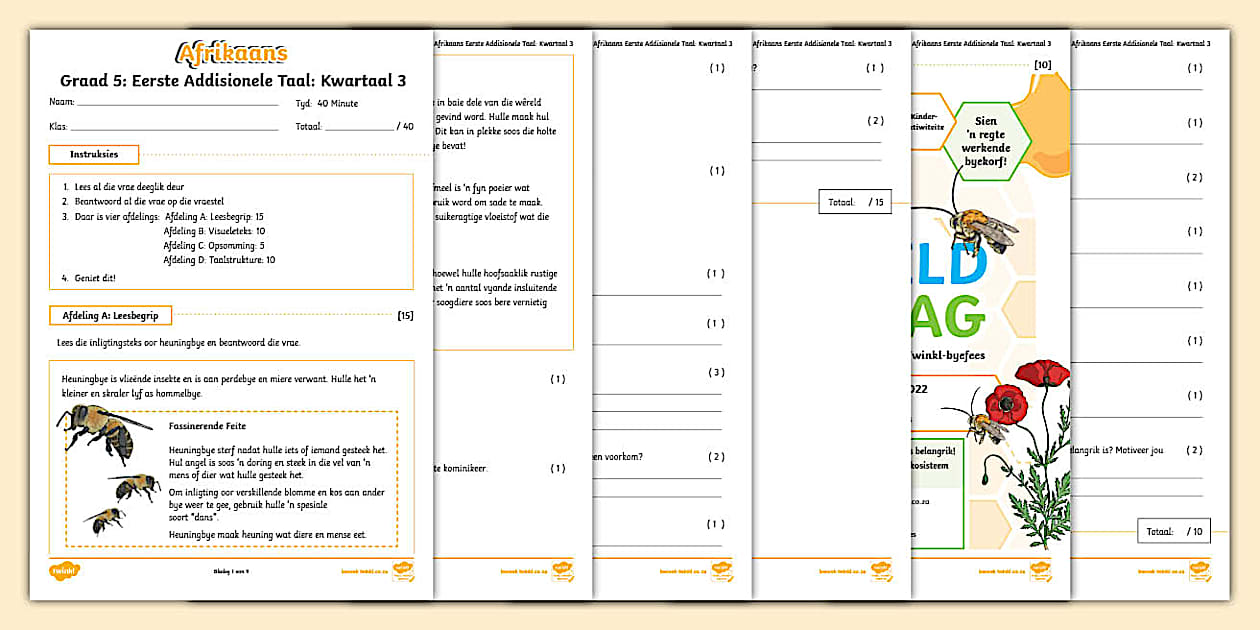 Grade 5 Afrikaans: FAL: Term 3: Assessment (teacher made)