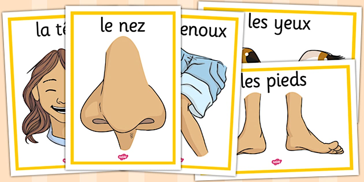 French My Body Display Posters (teacher made) - Twinkl