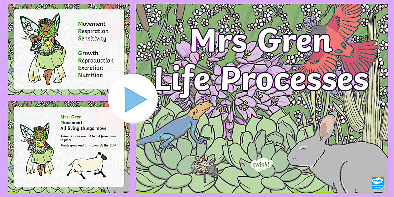Mrs Gren PowerPoint Life Processes | Primary Resource