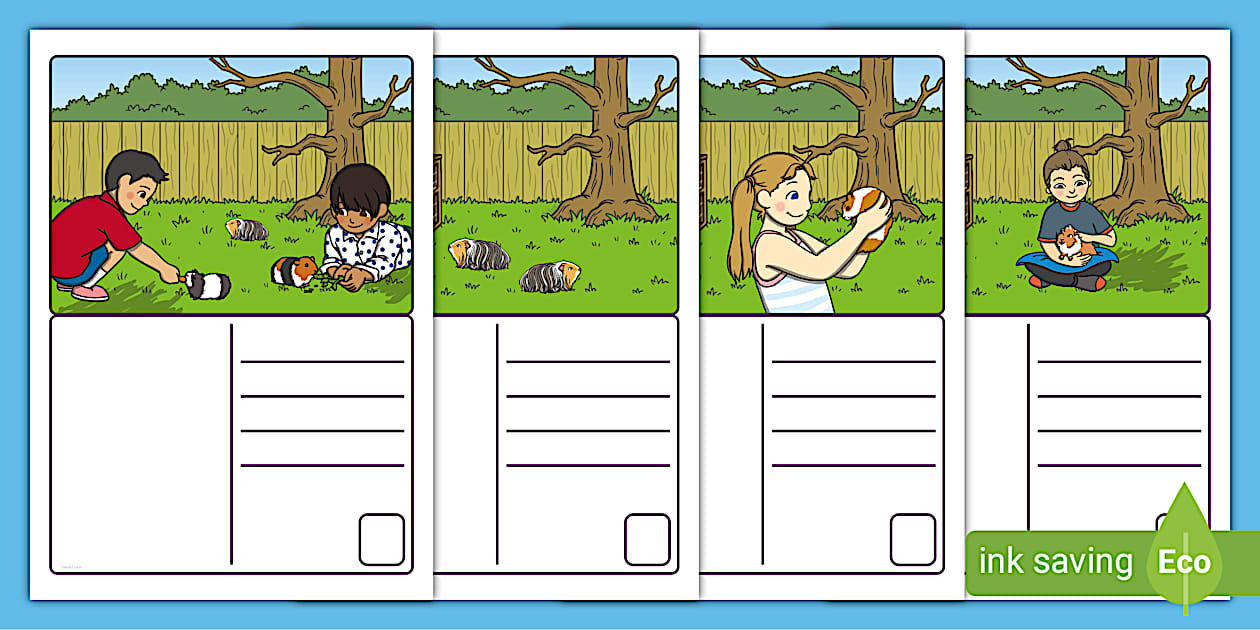 Guinea Pig Postcards | Twinkl Pets | Letter Writing | KS1