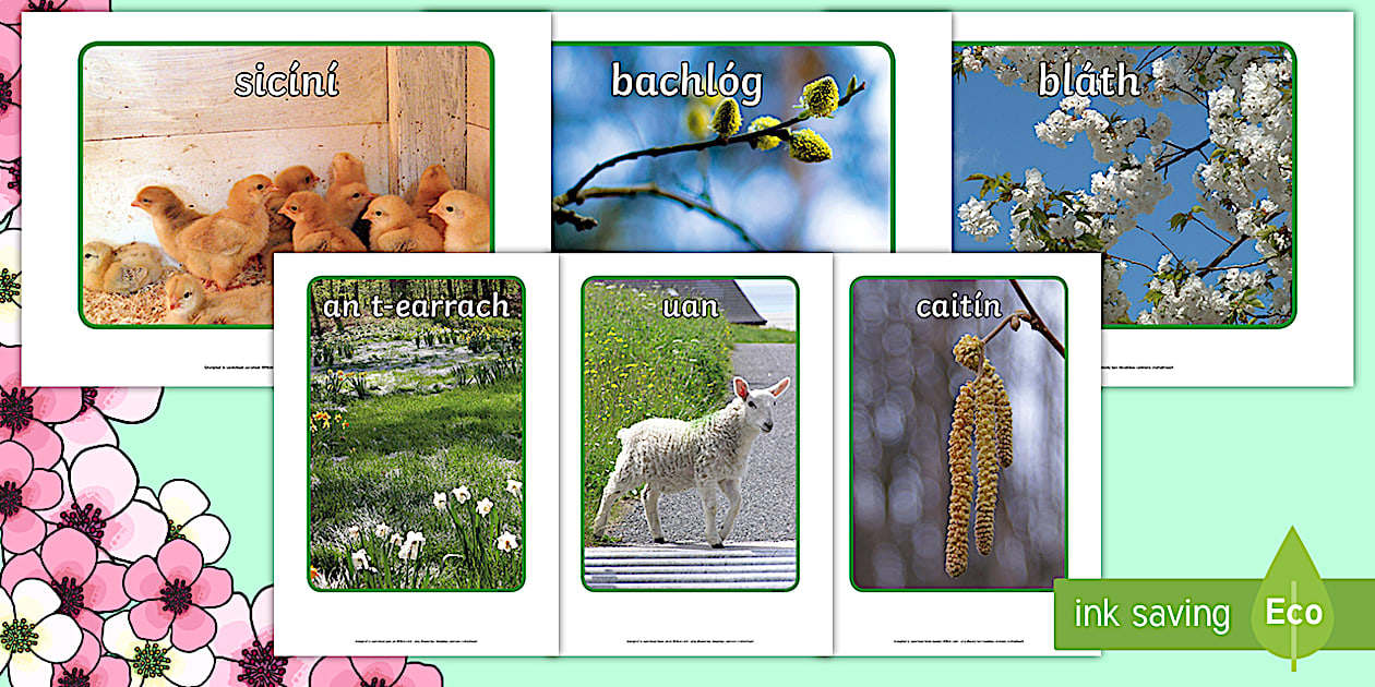 Spring Display Photos - Gaeilge (teacher made) - Twinkl