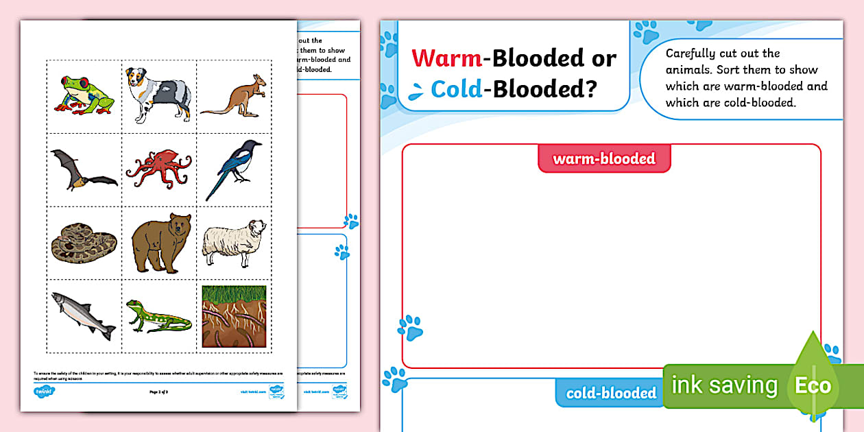 Warm-Blooded and Cold-Blooded Animals Sorting Activity