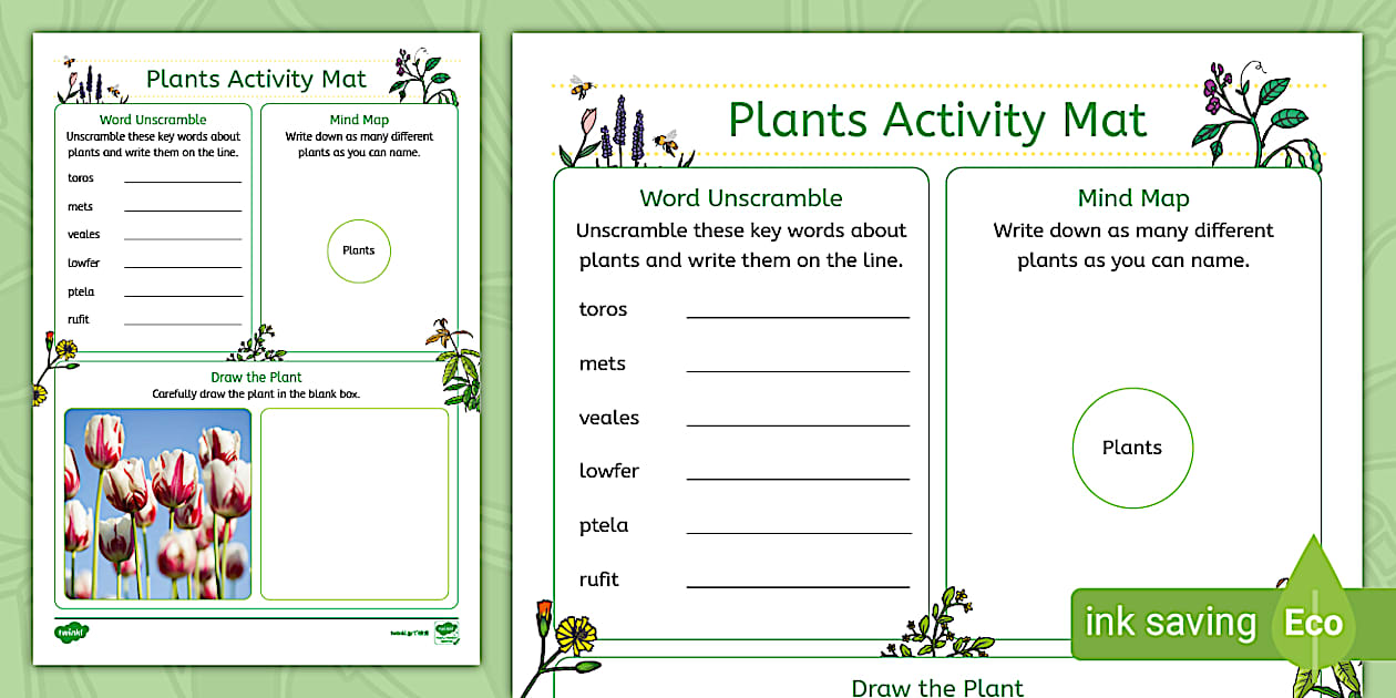Plants Boredom Buster Worksheet (teacher made) - Twinkl