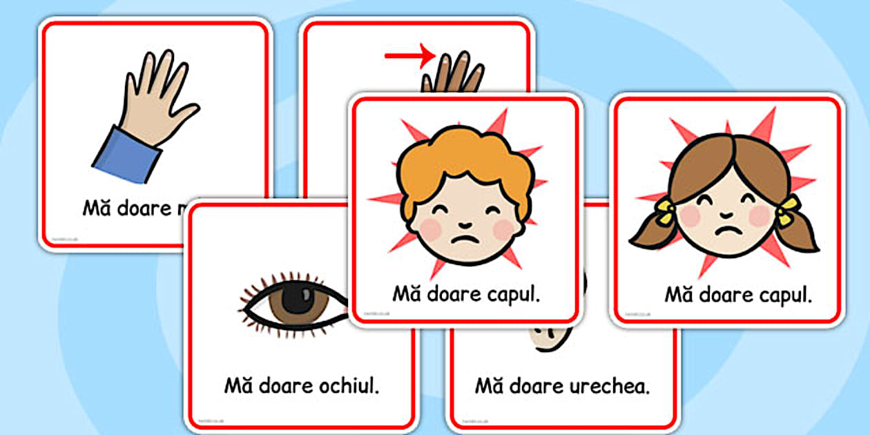 Partile Corpului (Lehrer gemacht) - Twinkl