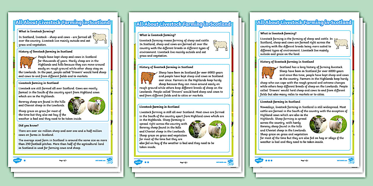 Livestock Farming in Scotland Reading Comprehension - Twinkl
