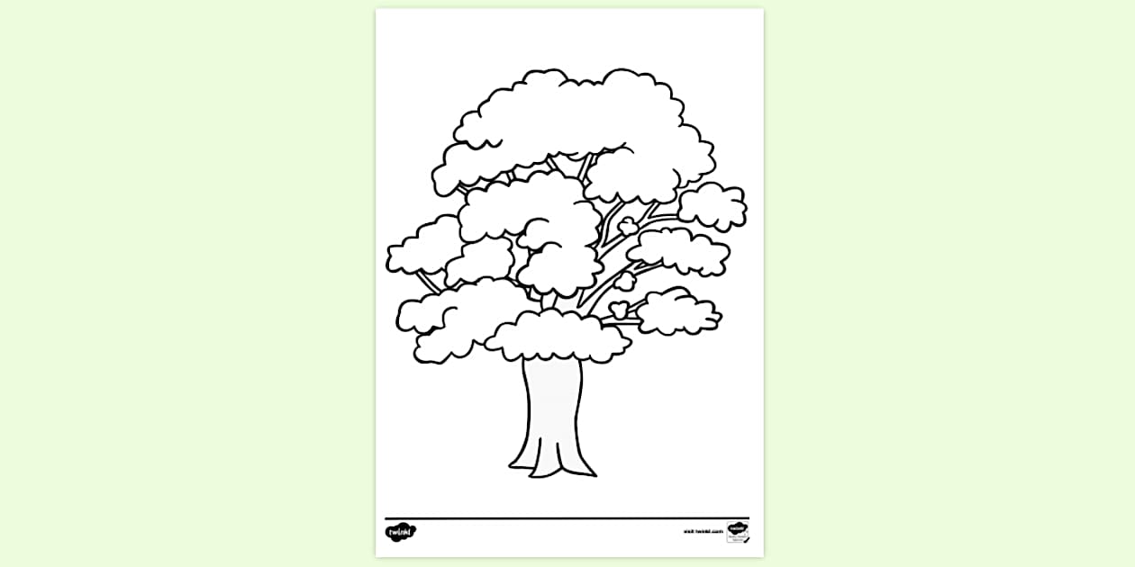 Sycamore Tree Colouring Sheet | Tree Colouring Pages | KS1