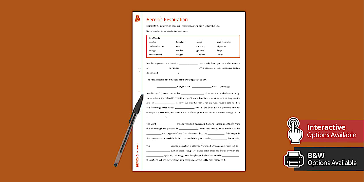 Aerobic Respiration Gap Fill Worksheet | Science | Beyond