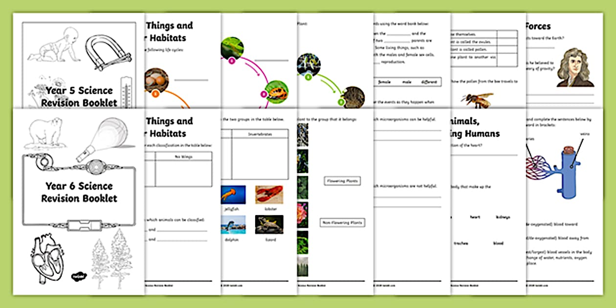 UKS2 Science Revision Booklets (teacher made) - Twinkl