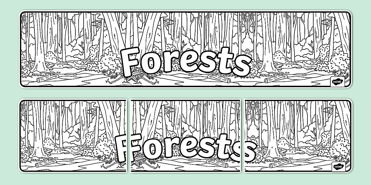 Forests Colouring Display Banner (teacher made) - Twinkl