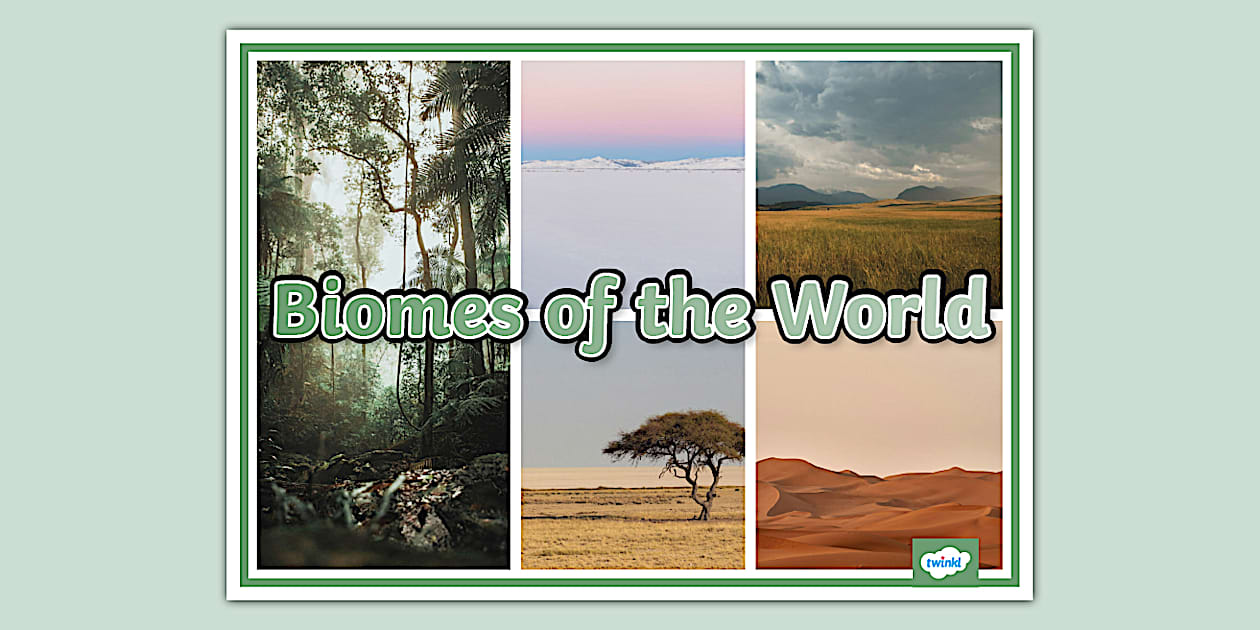 Biomes of the World Photo Display Poster (teacher made)