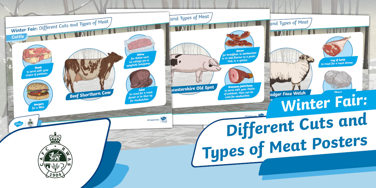 Winter Fair: Different Cuts and Types of Meat Posters