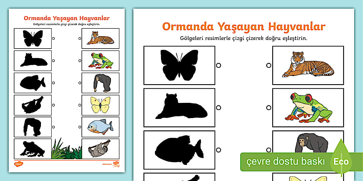 Ormanda Yaşayan Hayvanlar | Gölge Eşleştirme Etkinliği
